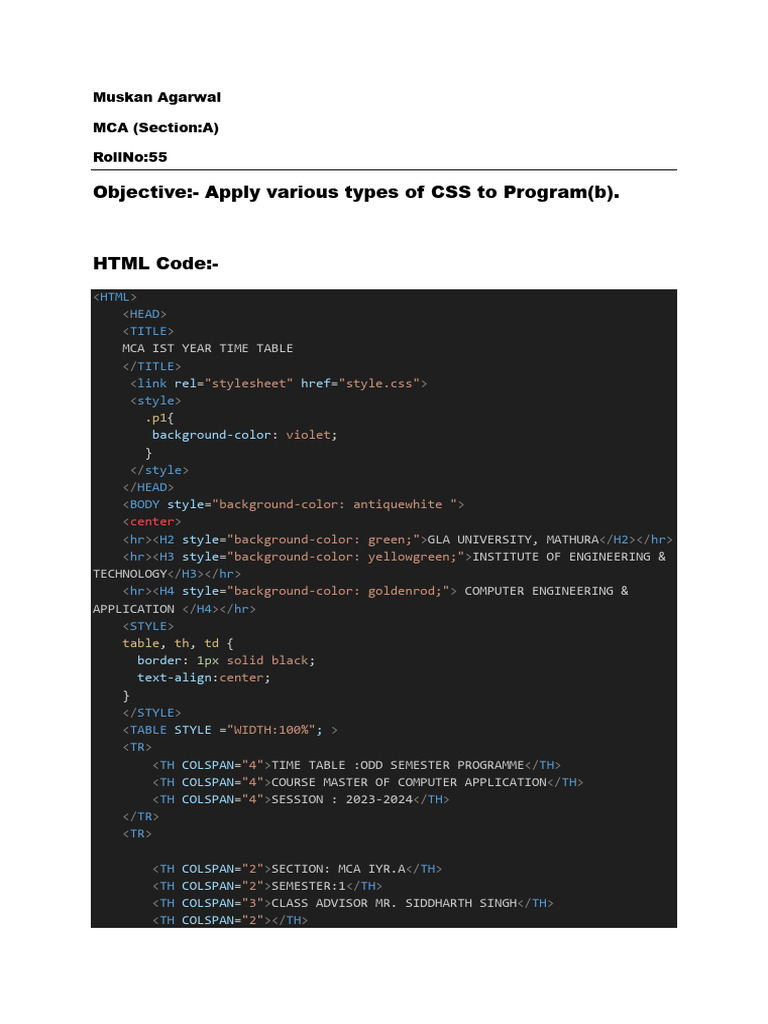 Lunch Css | PDF | Computers | Technology & Engineering