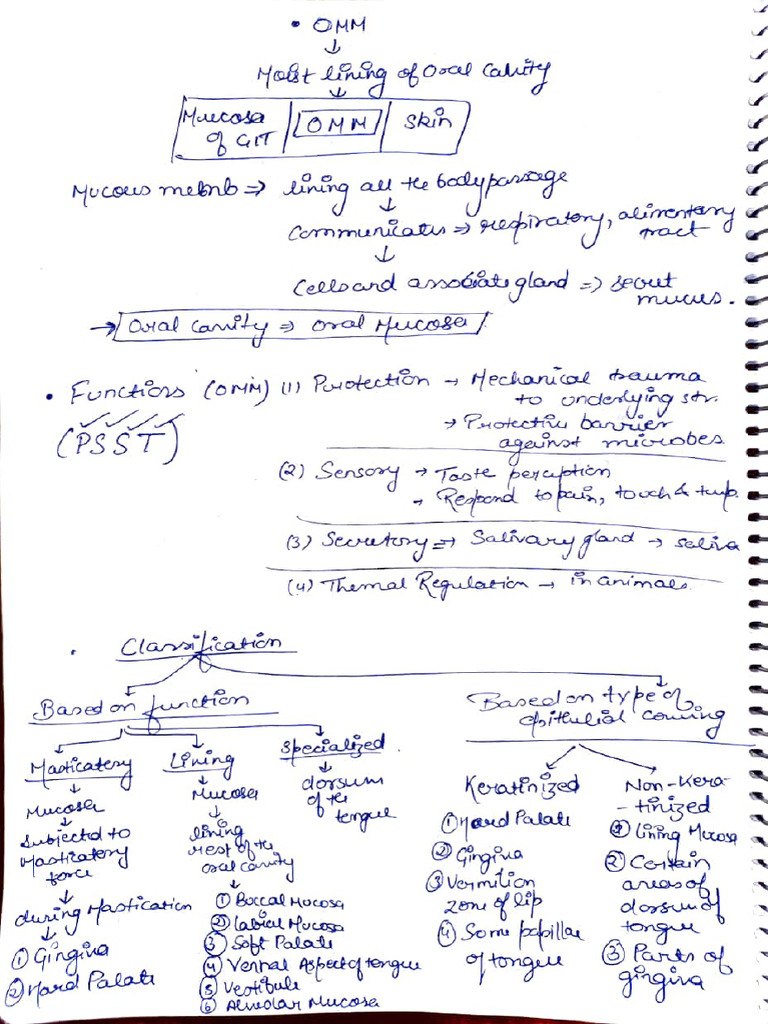 Classification of OMM | PDF