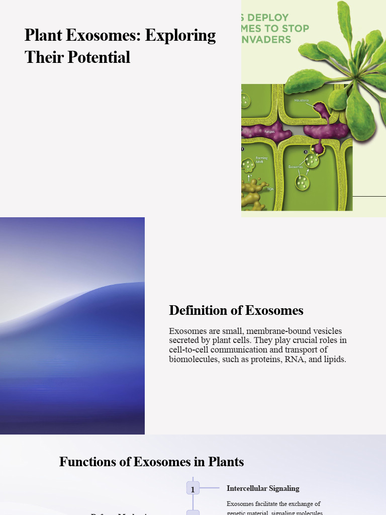 Plant Exosomes: Roles and Applications | PDF | Science & Mathematics
