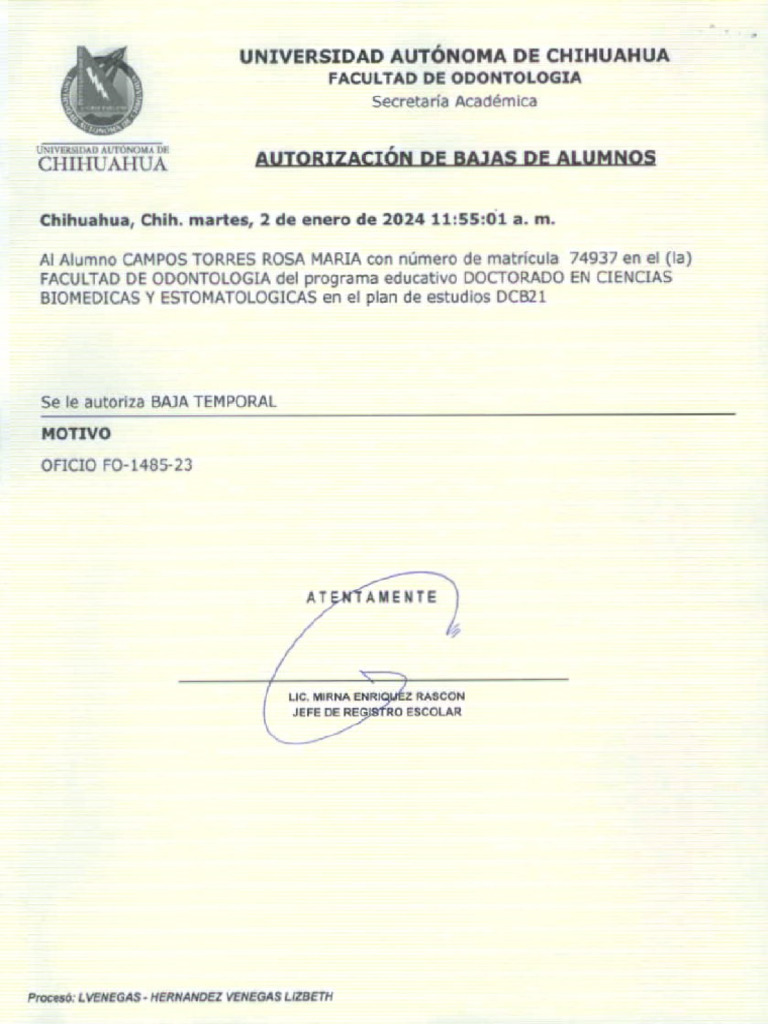 Mi Documento | PDF