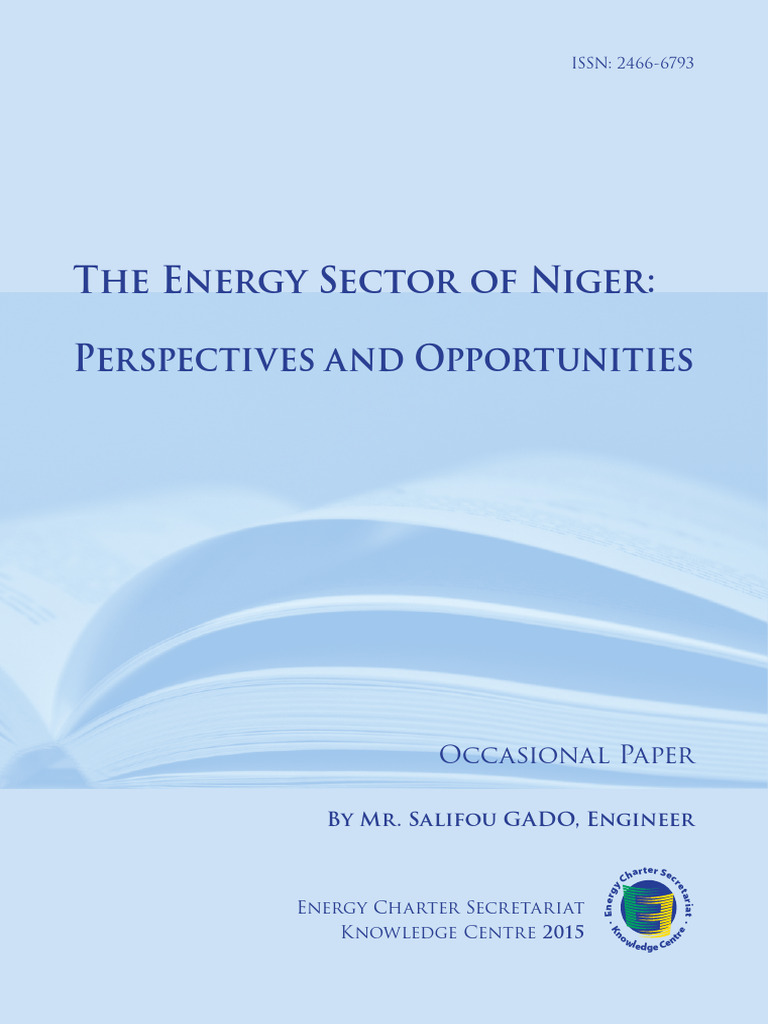 Niger Energy Sector | PDF
