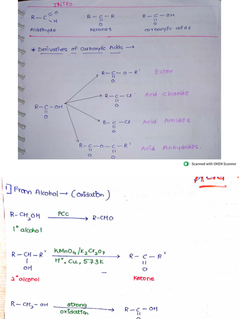 Aldehyde Ketone Carboxylic Acid Full Chp Pdf