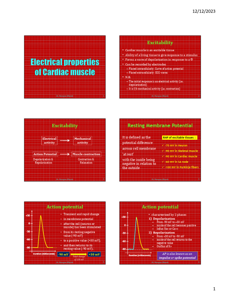Pacemaker Potential | PDF