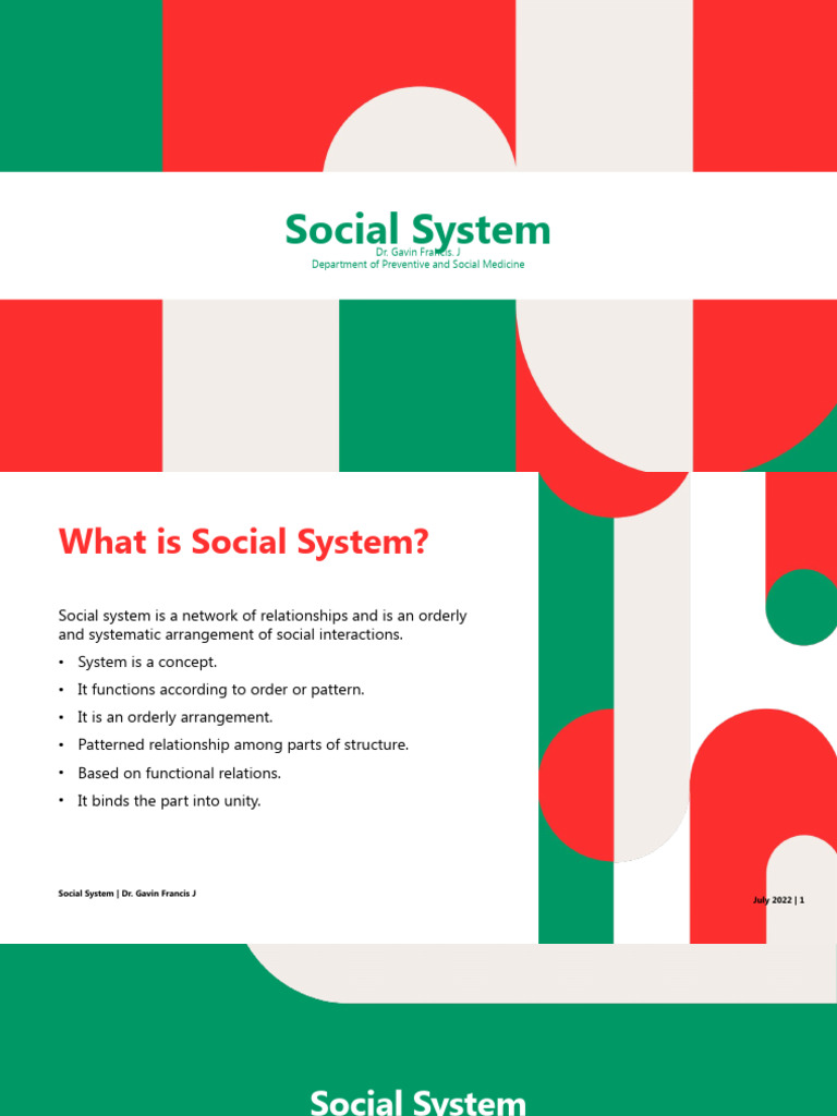 Social System | PDF | Social Structure | Behavioural Sciences