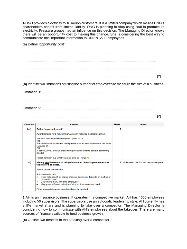 Paper 1 Business Revision | PDF