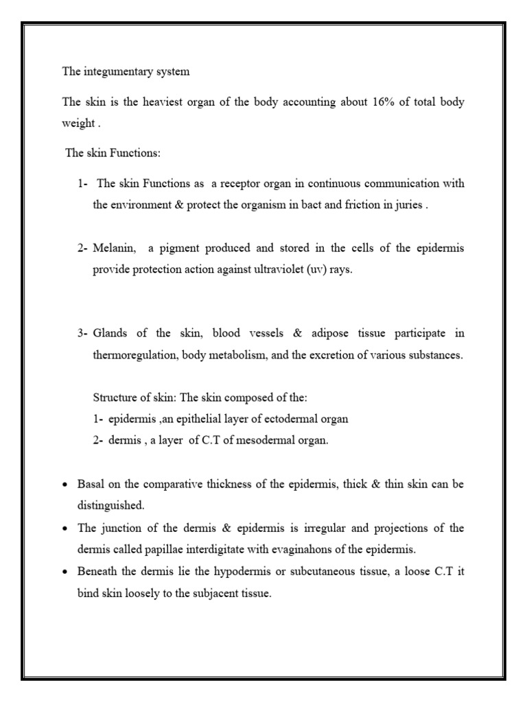 The Integumentary System Pdf