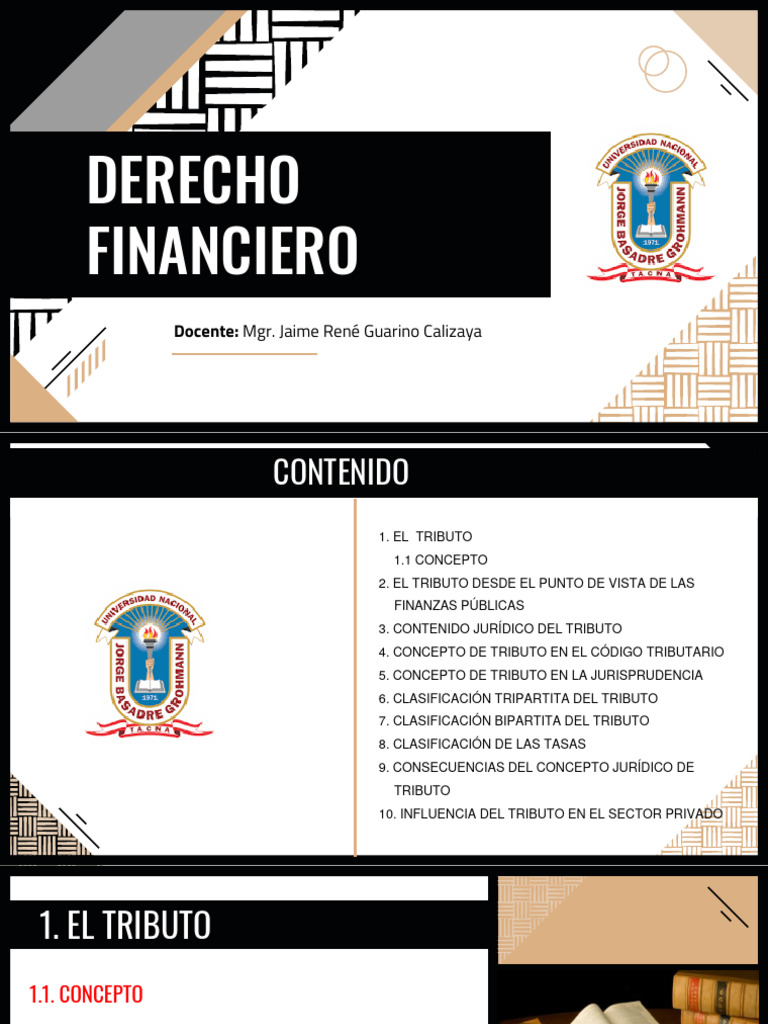 Conceptos y Clasificación del Tributo | PDF