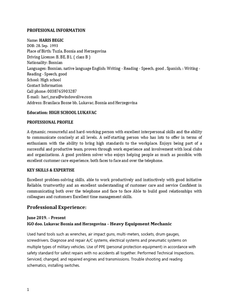 CV - Haris Begic.. | PDF