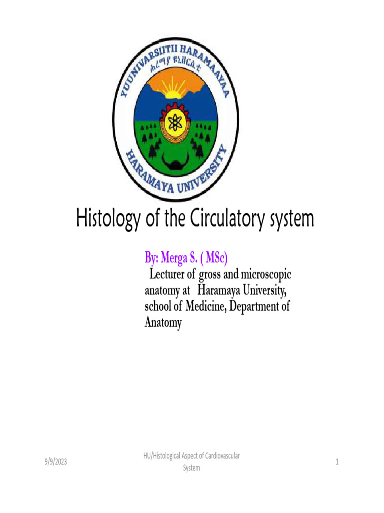 CVS Histology Last Part | PDF