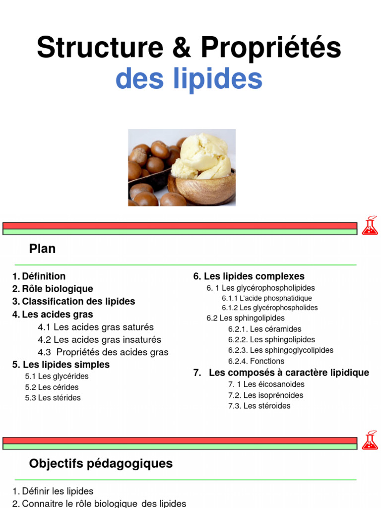 05 Structures Des Lipides | PDF
