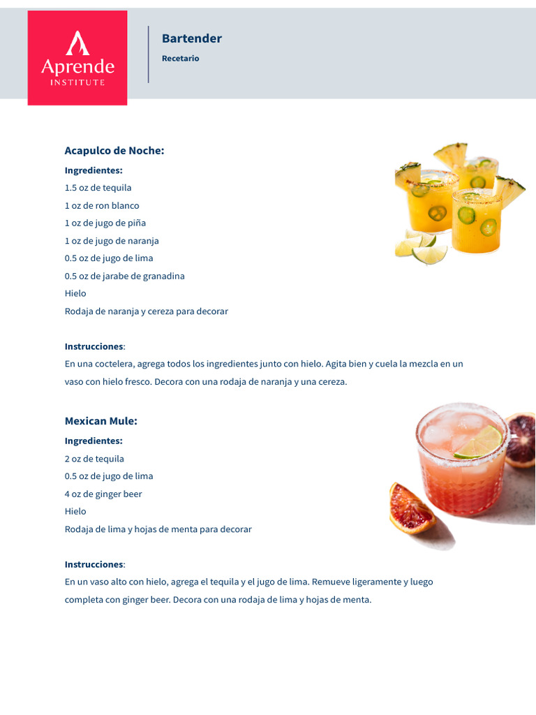 BAR C3 Recetario | PDF