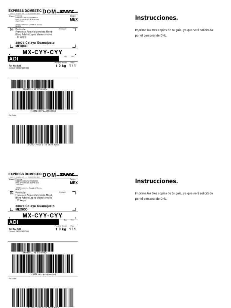 Guía de Envío DHL: Instrucciones | PDF