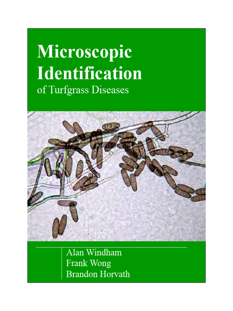Alan Windham - Microscopic Identification of Turfgrass Diseases STMA ...