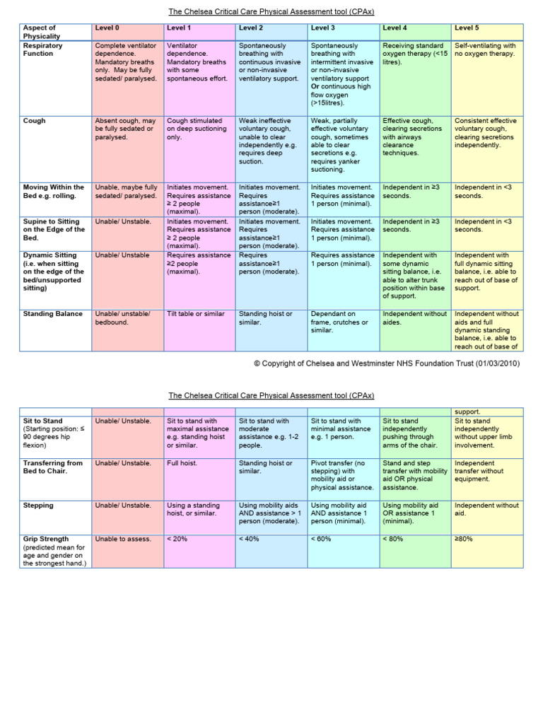 Cpax Level Descriptors | PDF