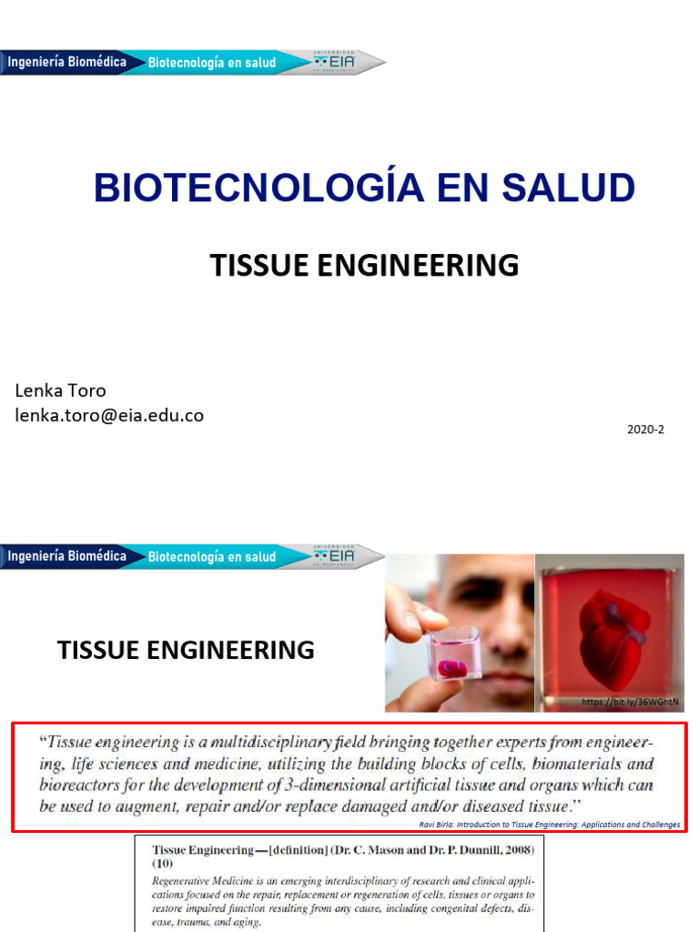 07 2023-2 Tissue Engineering | PDF