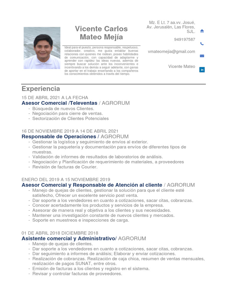 CV Vicente Mateo Mejia - Hoja de Vida | PDF | Logística | Lima