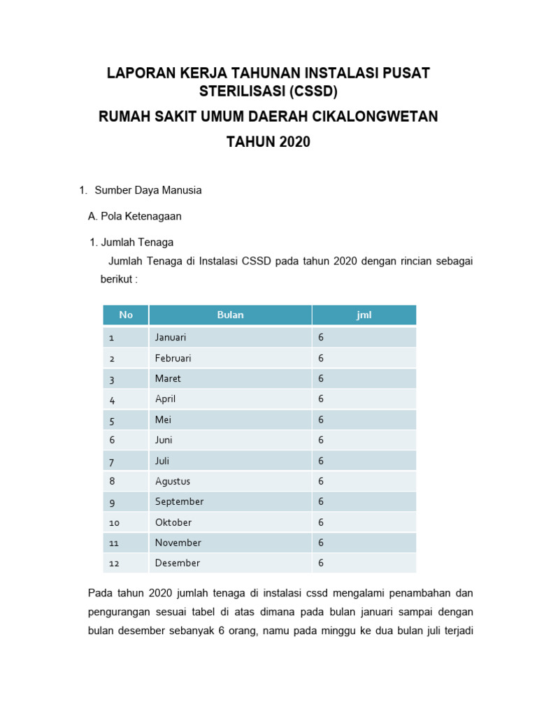 Laporan Tahunan CSSD | PDF