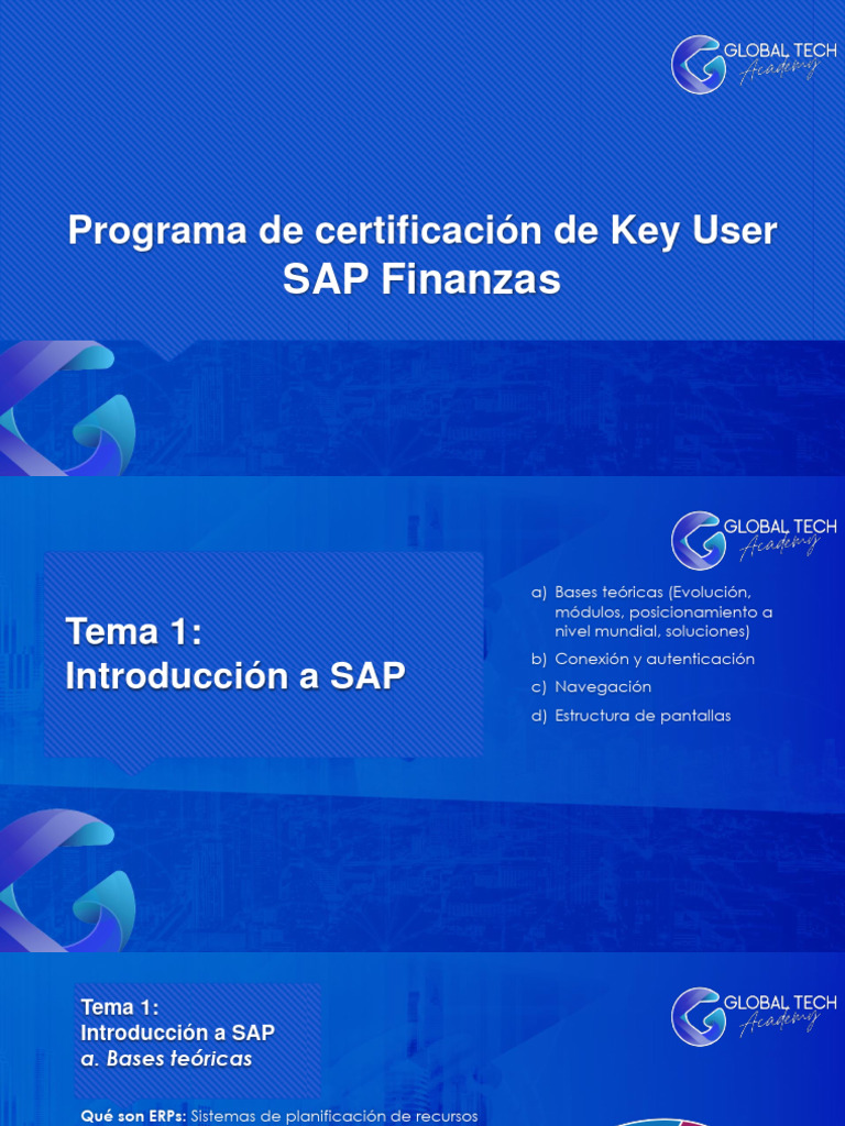 Tema 1 Sap Fi | PDF