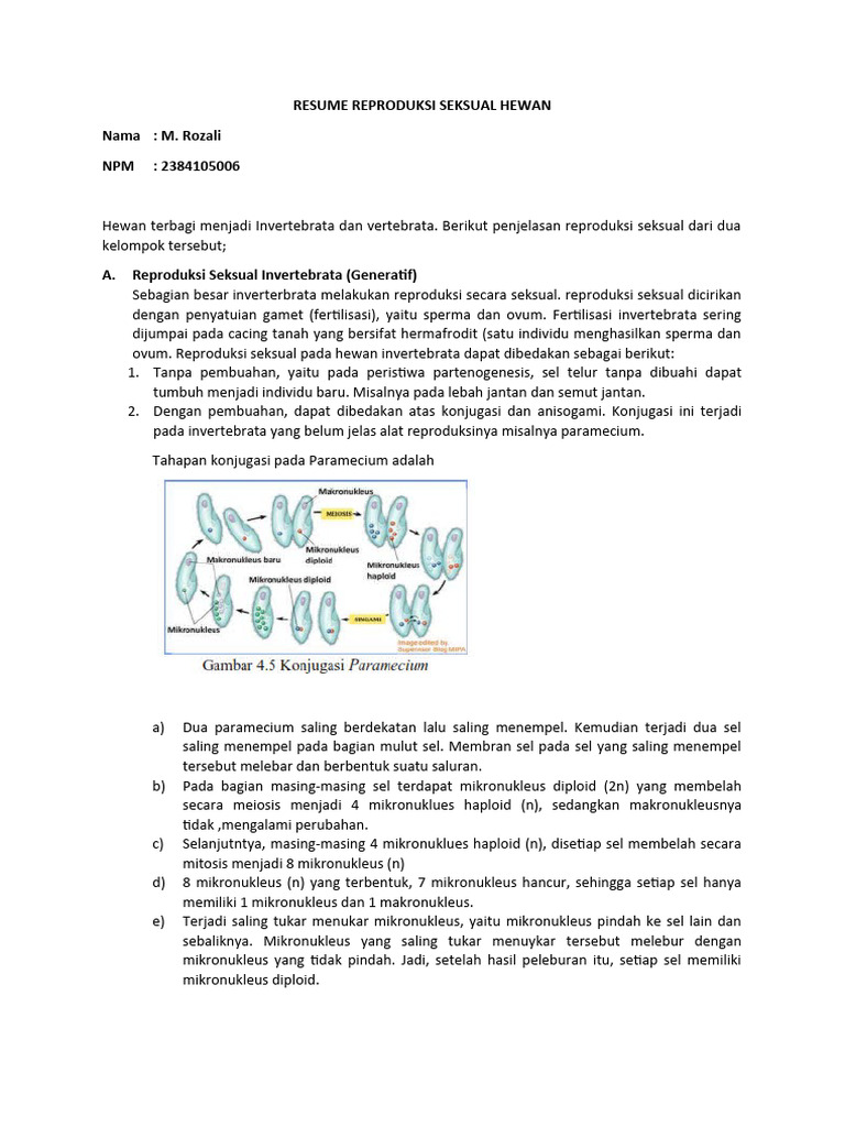 Resume Reproduksi Seksual Hewan | PDF