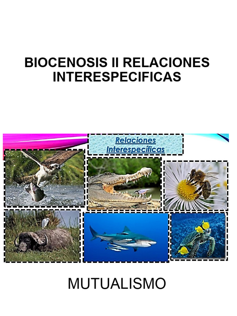 Biocenosis II Relaciones Interespecificas | PDF
