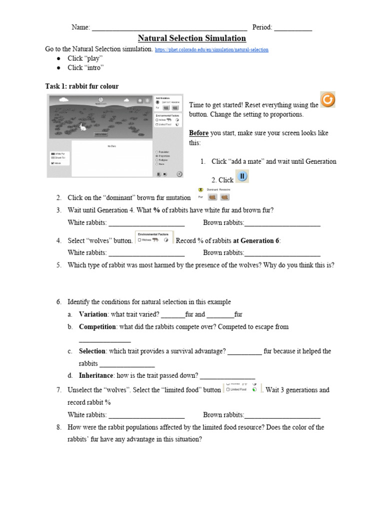 Natural Selection Simulation Worksheet | PDF | Natural Selection ...