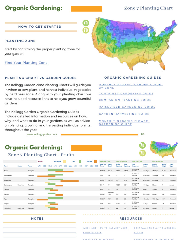 Zone 7 Fruit Planting Schedule Guide | PDF | Berry | Perennial Plant
