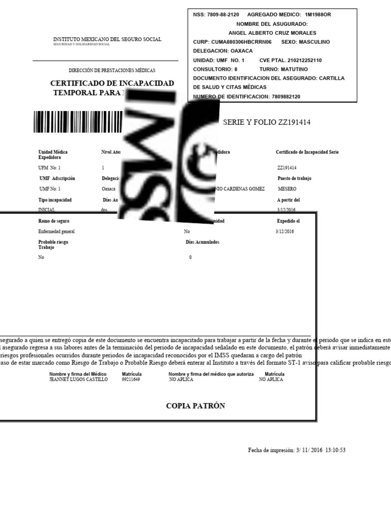 Formato Incapacidad Imss Editable Word | PDF