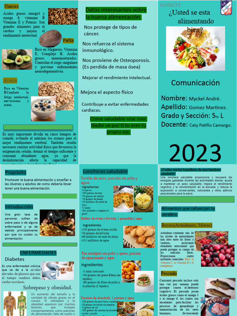 Comida Triptico | PDF