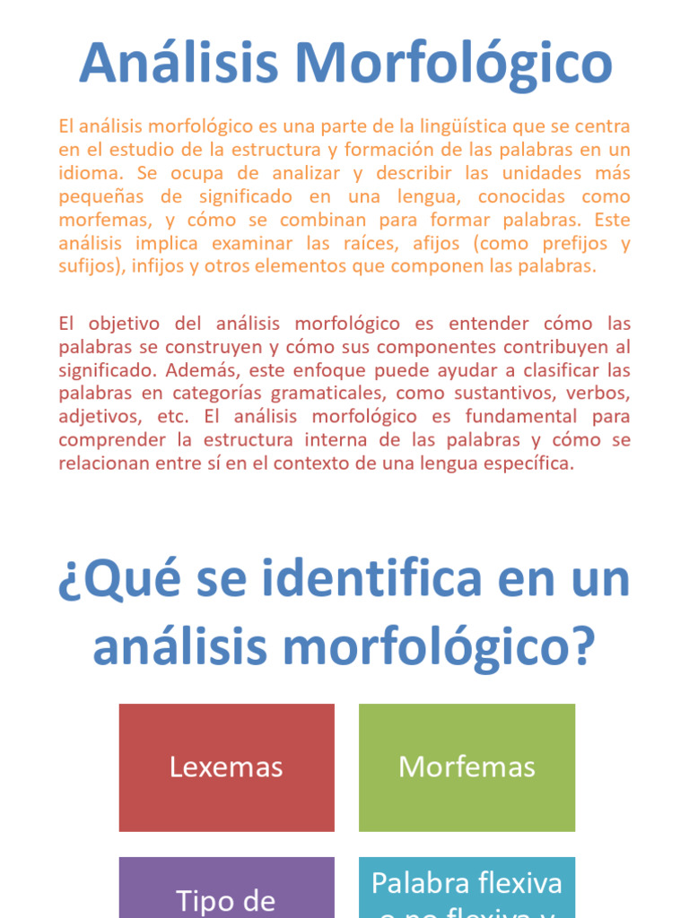 Actividad 3 Análisis Morfológico | PDF
