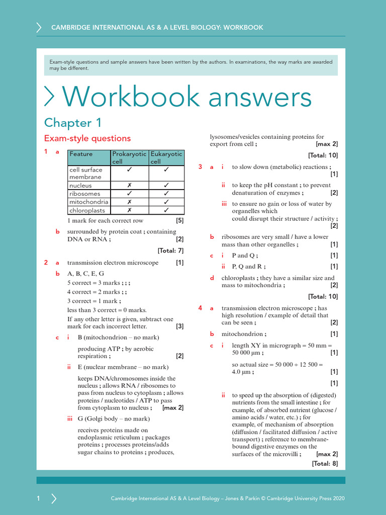 As & a Level Biology Workbook Answers | PDF | Genetic Code | Ribosome