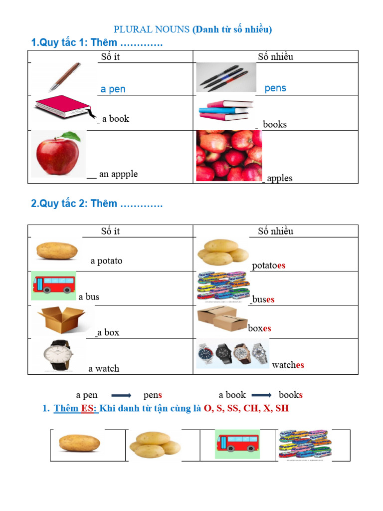 Lesson 10 - Plural Nouns | PDF