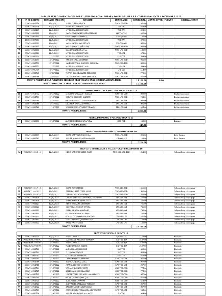Planilla de Registro de Pasajes Aereos Diciembre 2022 | PDF