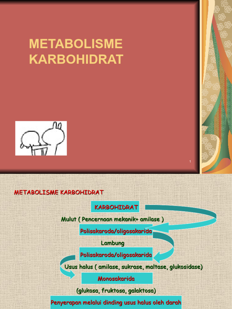 I. C. Metabolisme Karbohidrat | PDF
