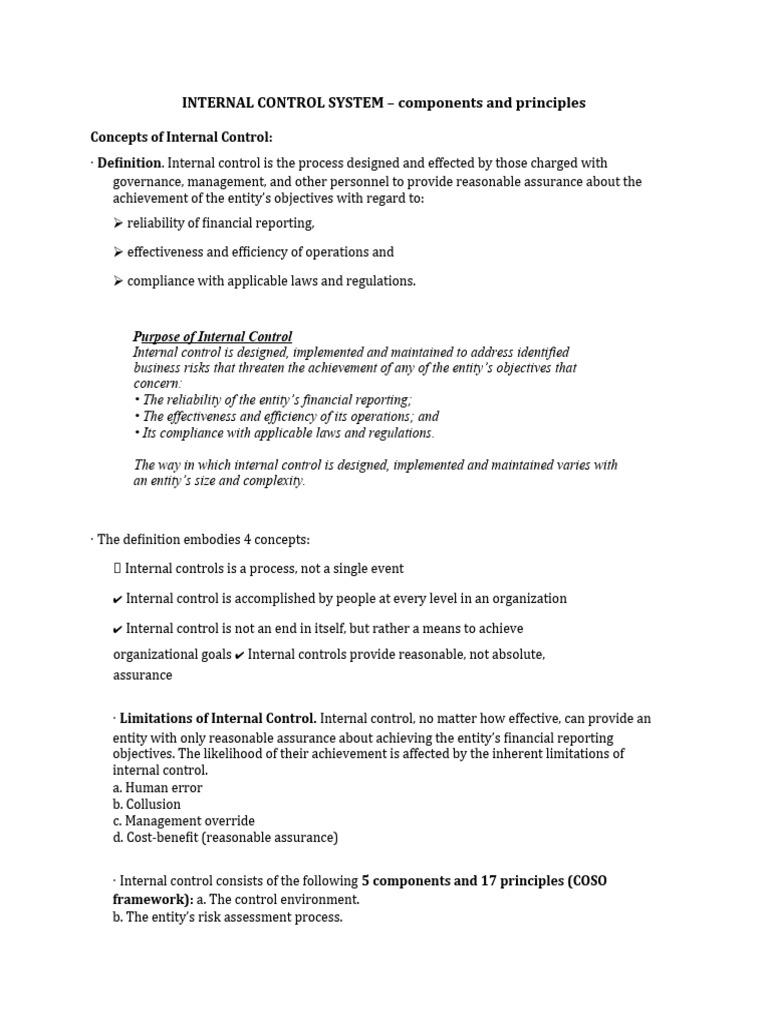 INTERNAL CONTROL SYSTEM - Components and Principles 1 | PDF