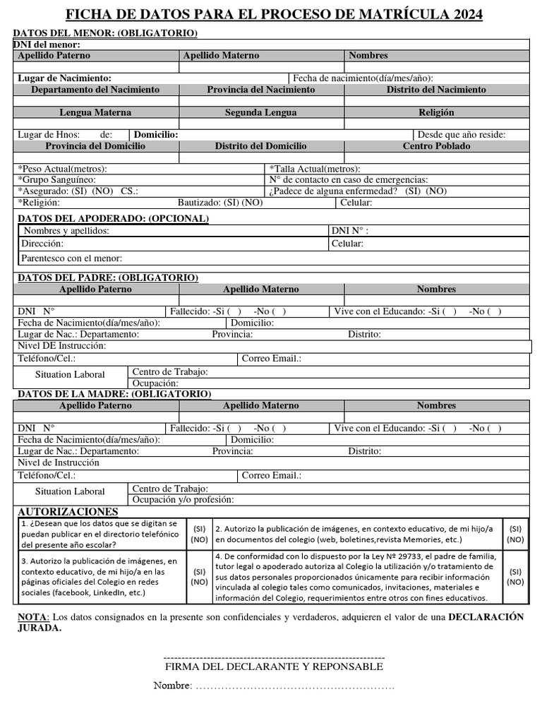 Ficha Procesos 2024 | PDF