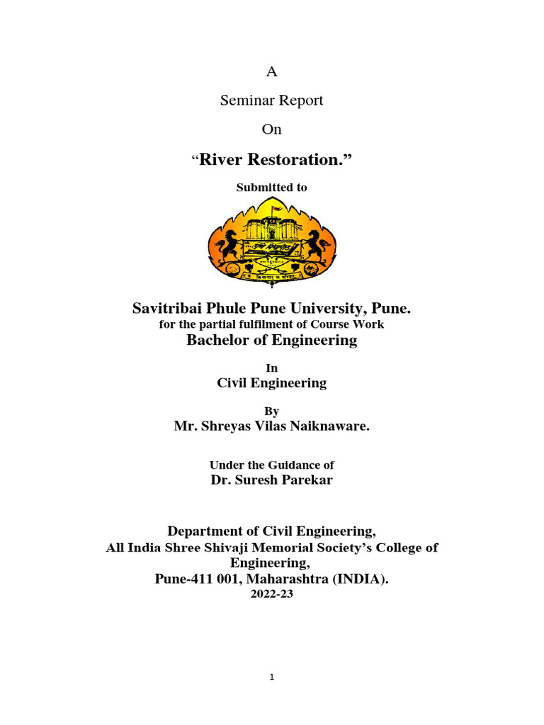 Skjern River Restoration Project Report | PDF | Technology & Engineering