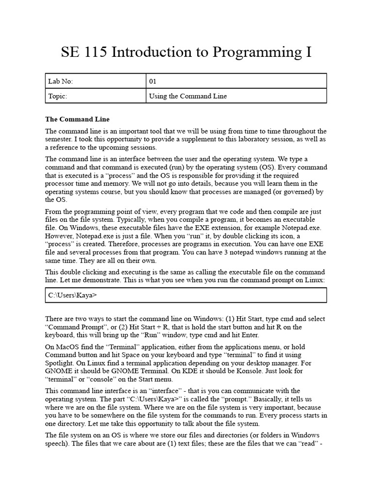 Lab 01 Pdf 