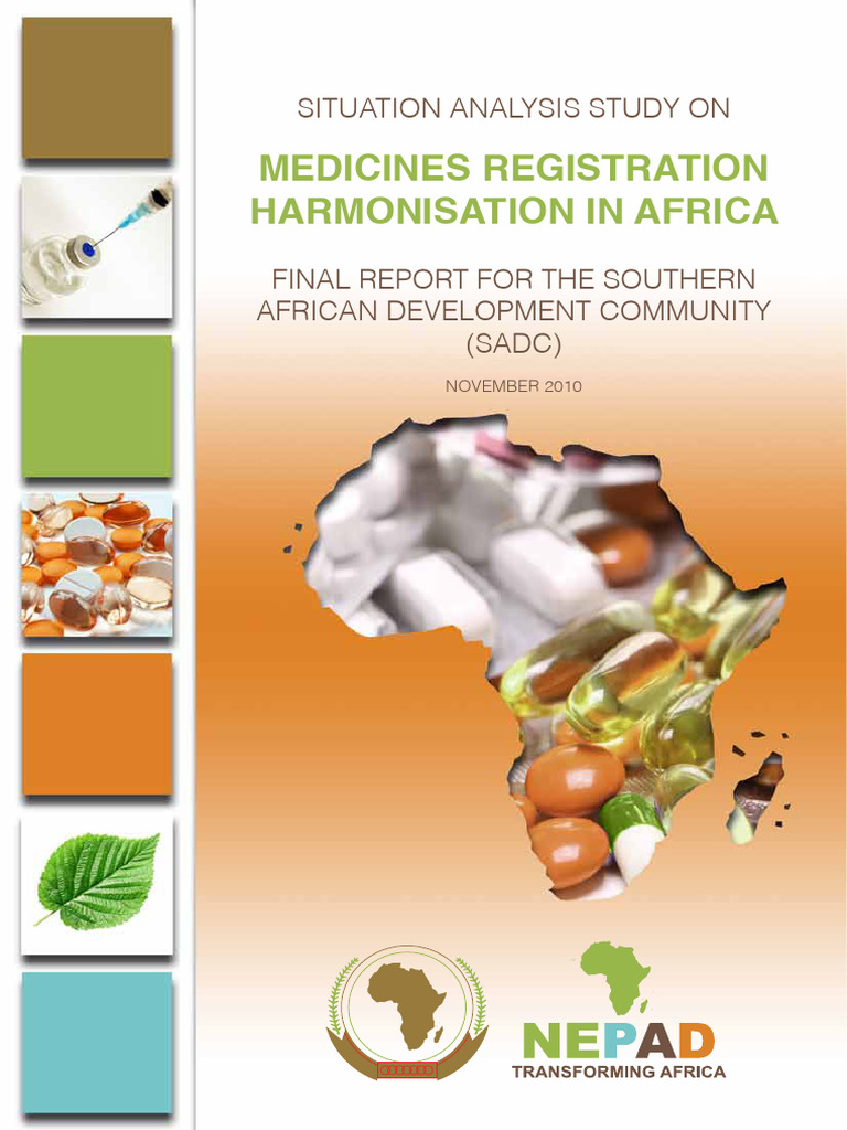 SADC Situation Analysis Report | PDF