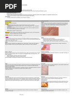 LESIONES DERMATOLOGICAS PRIMARIAS Correcto | PDF | Piel | Sistema ...