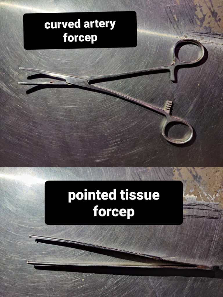 VSR-I Practical | PDF