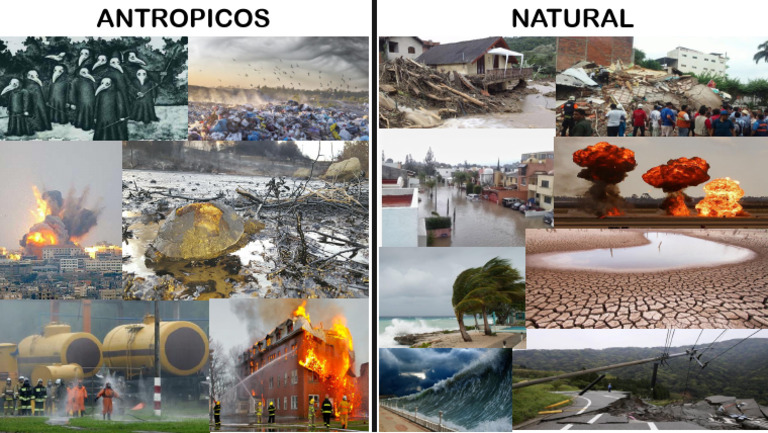 Collage Antropicos y Natural | PDF