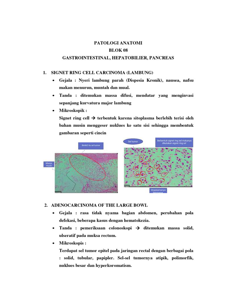 Patologi Anatomi | PDF
