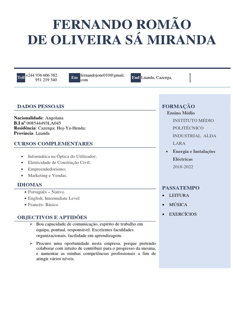 CV Fernando Sá Miranda | PDF