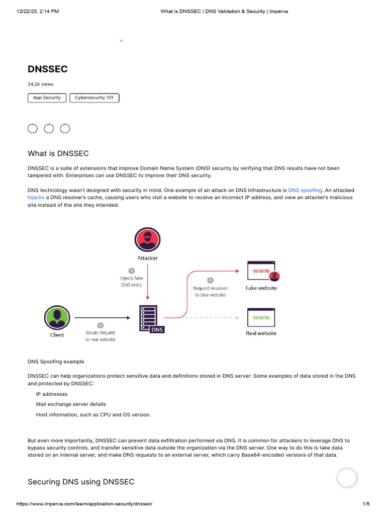 What Is DNSSEC - DNS Validation & Security | PDF