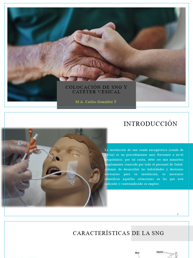 Colocación de SNG y Catéter Vesical | PDF