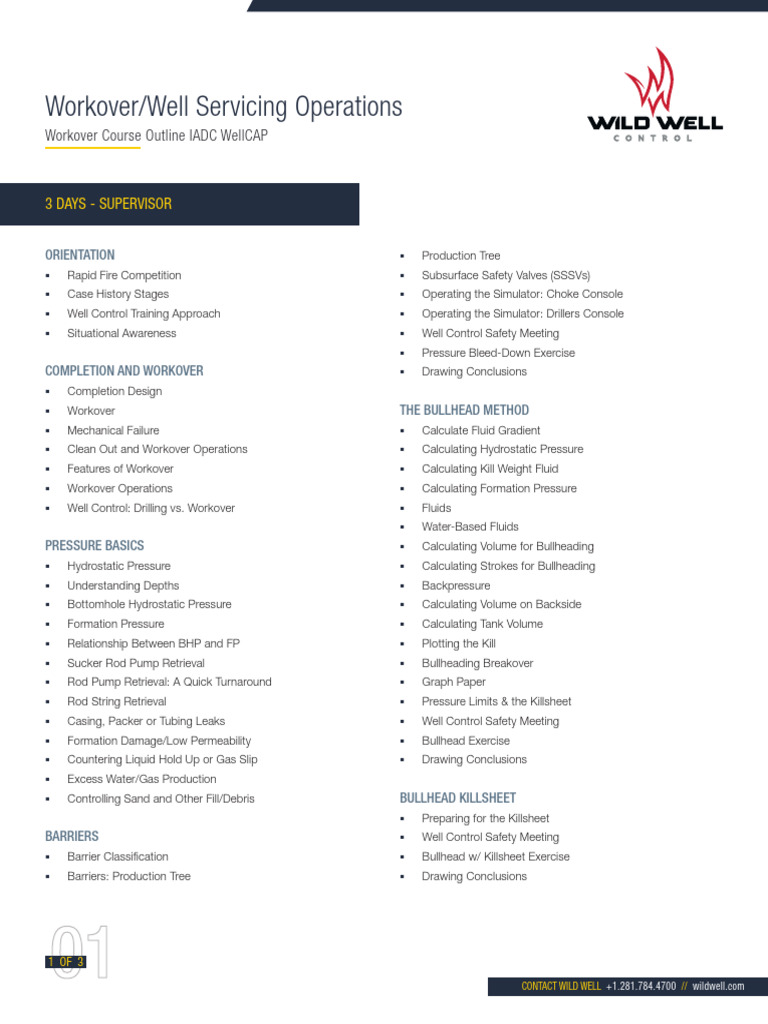 WW Flyer Workover Well Servicing Operations | PDF