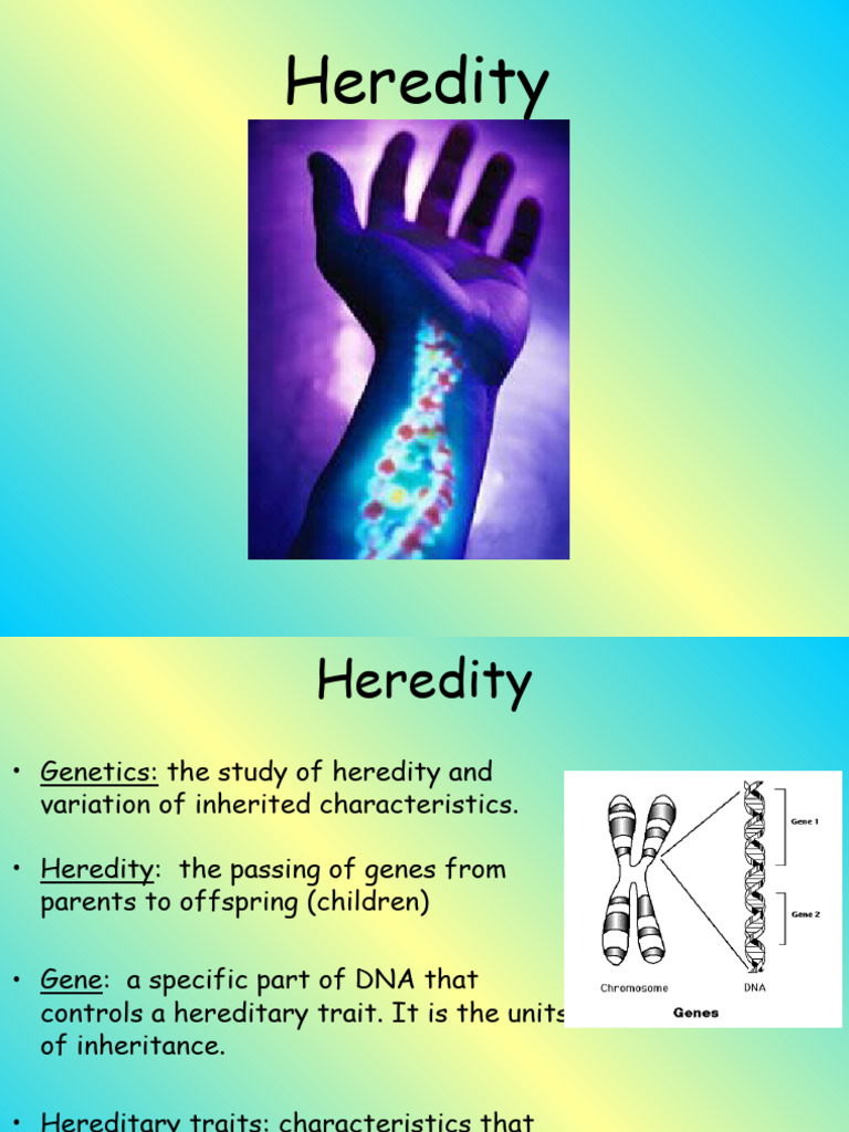 Full Genes and Heredity | PDF