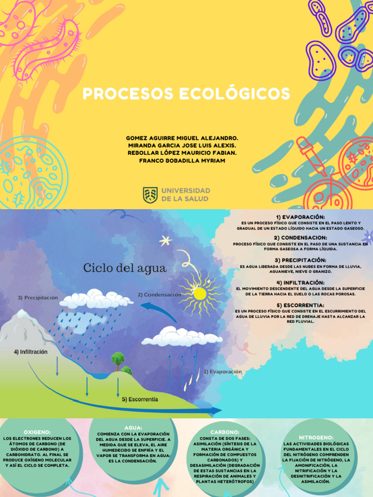 Ciclos y Procesos Ecológicos Clave | PDF