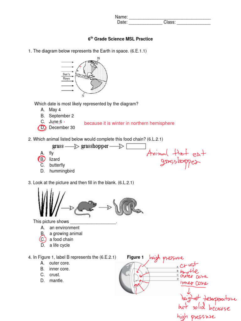 6 - grade - science - msl - practice - 02 เฉลย | PDF