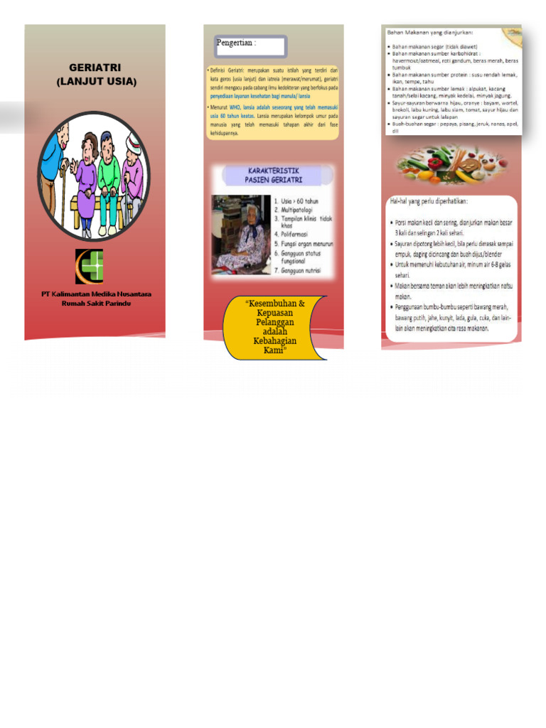 Leaflet Geriatri Ok | PDF
